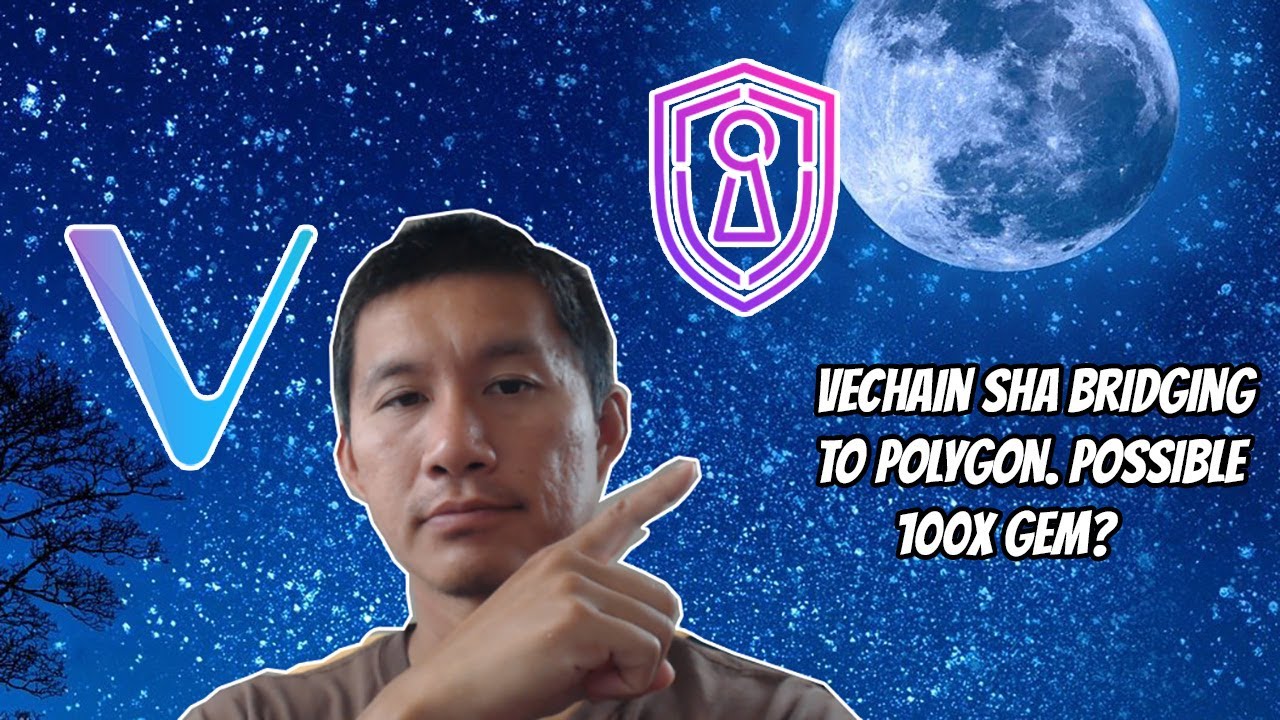 Vechain Safehaven(SHA) is bridging DEX to Polygon! 100x gem in the ...