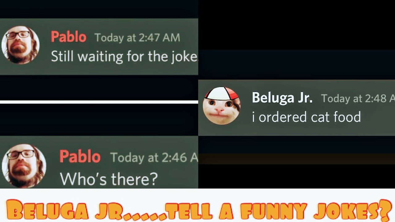 Beluga jr. tell a funny jokes..... - YouTube