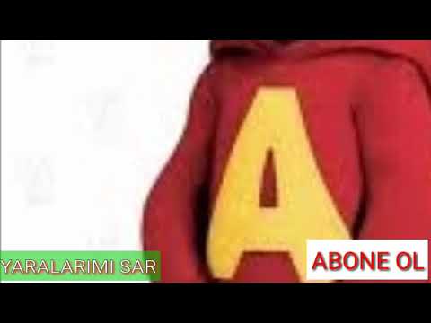 YARALARIMI SAR ALVİN VE SİNCAPLAR