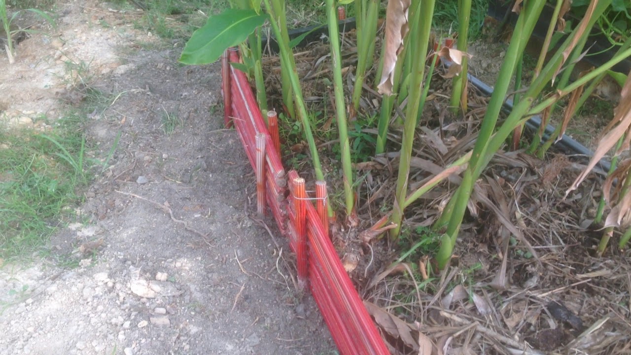 #7 Batas Timbun Pokok Kantan - YouTube