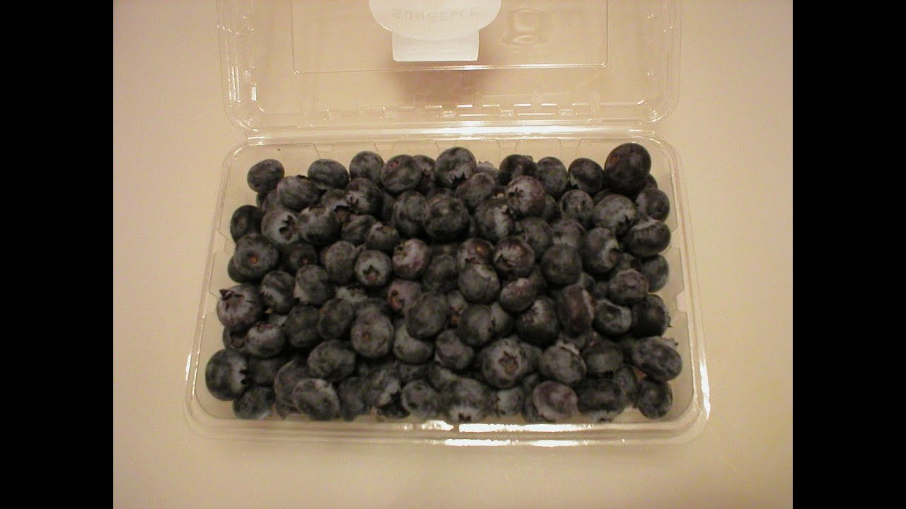 Blueberries 101-How to Select the Best Blueberries - YouTube