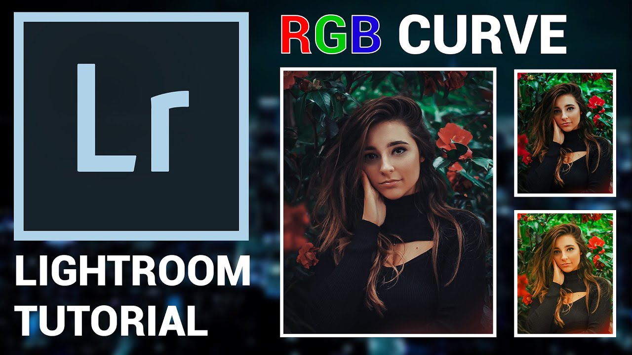 DASAR DASAR RGB CURVE LIGHTROOM | RGB Curve (Red, Green, Blue) & Cara ...