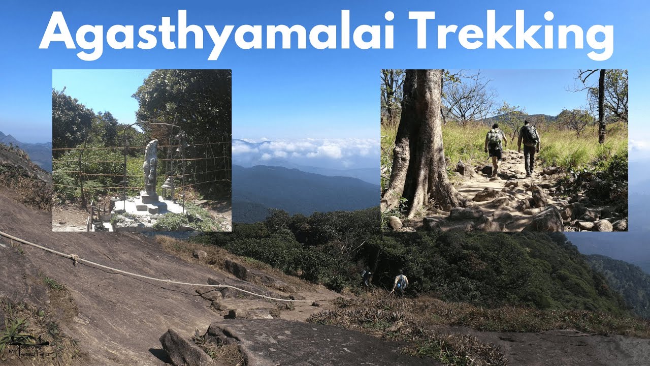 Agasthyamalai Trek | Kerala Tourism | Thiruvanthpuram | Bonacaud - YouTube
