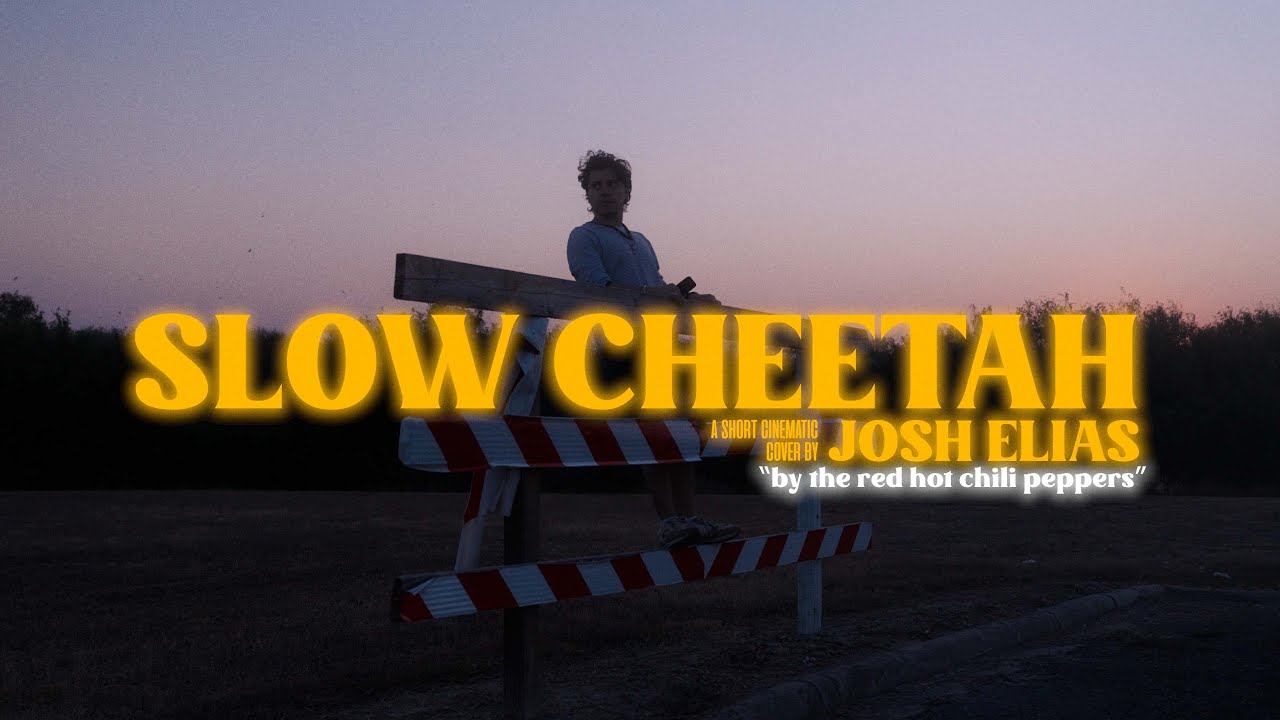 'Slow Cheetah' A short cinematic cover. - YouTube