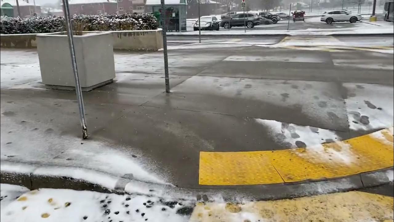 DRT #8572 and NEW DRT BUS #6145 - YouTube