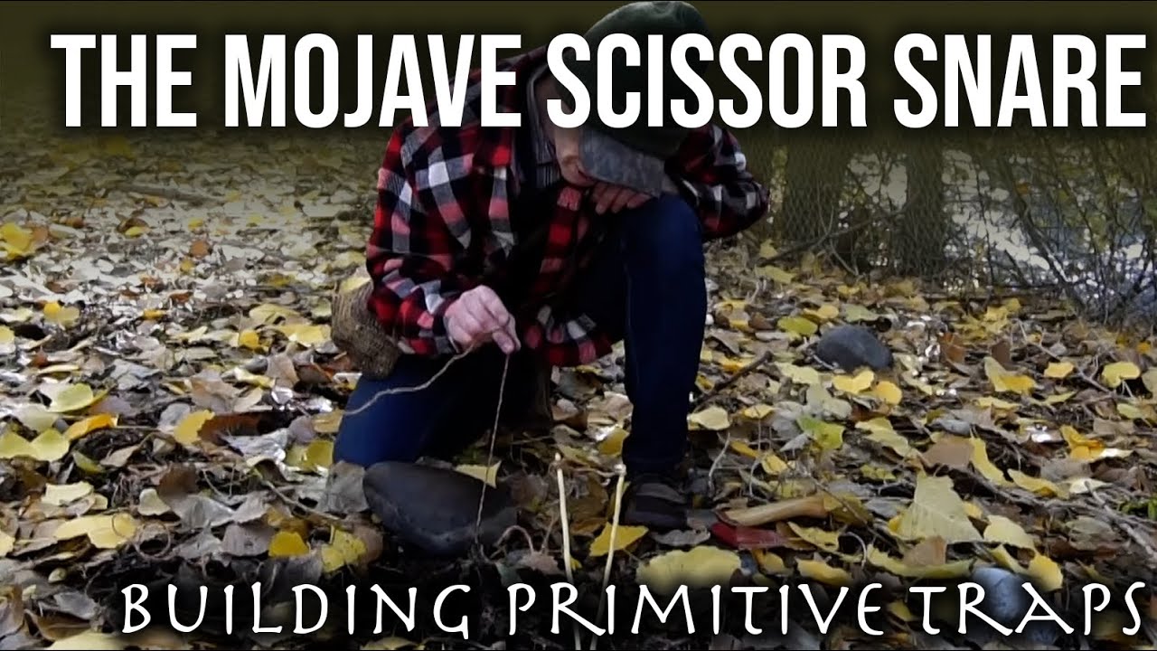 The Mojave Scissor Snare | Building Primitive Traps | TJack Survival ...