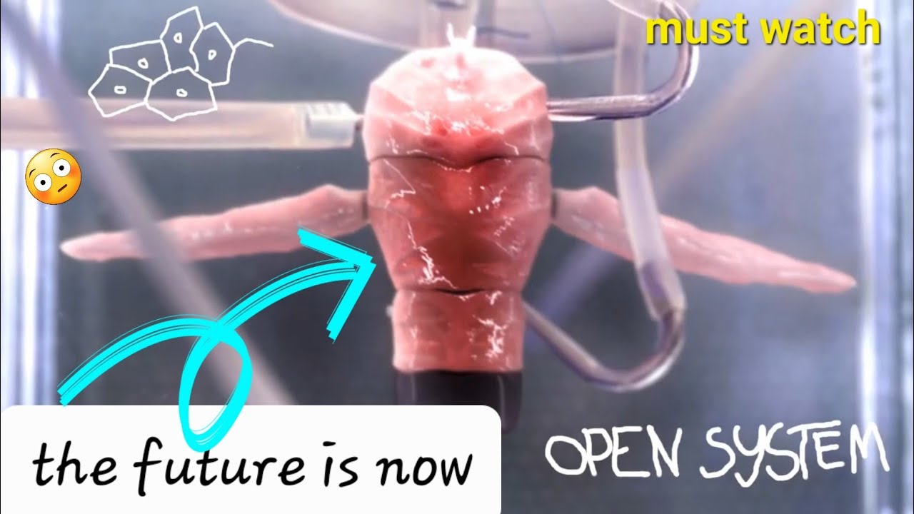 worlds first synthetic life form was created || the future is now # ...