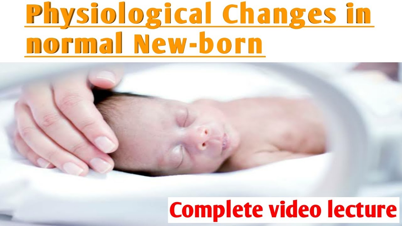Physiological changes in normal newborn II Respiratory changesII CVS ...