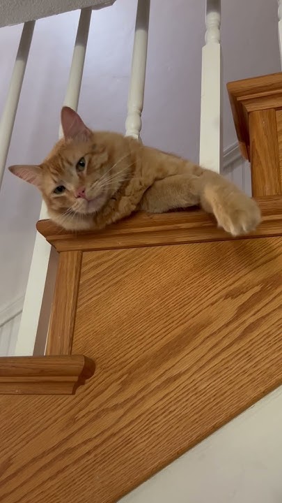 Gimmie 3 Steps - YouTube