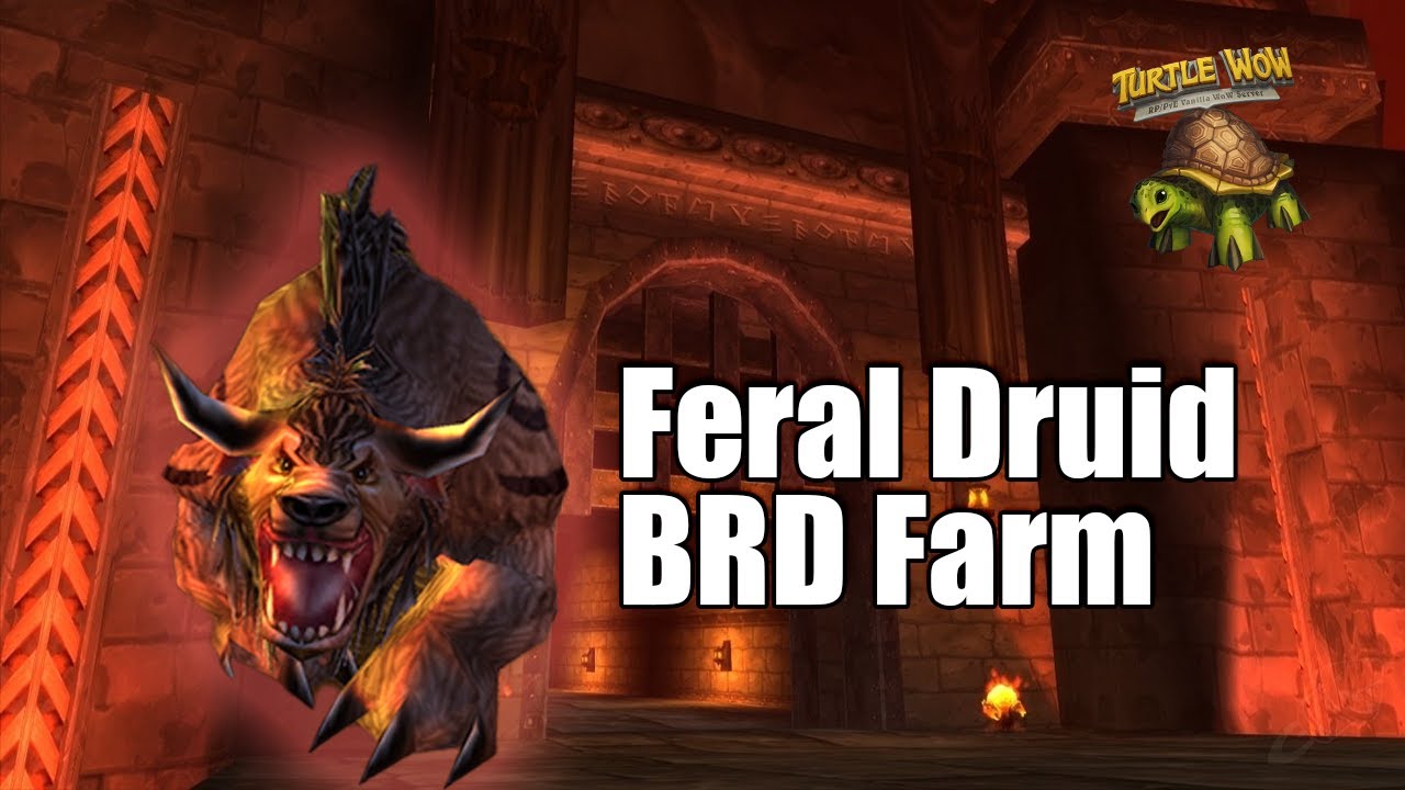 LFG 56+ BRD & LBRS | Feral Druid Tanking & Pre-Raid BiS Farm [TurtleWoW ...