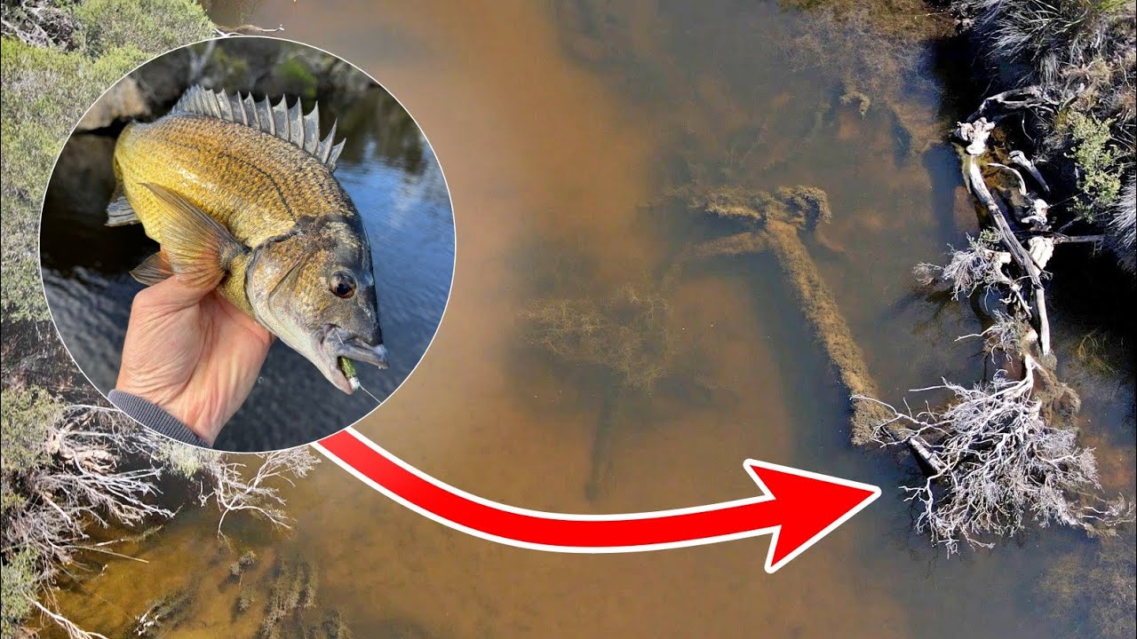 Outback Skunk Fishing - YouTube