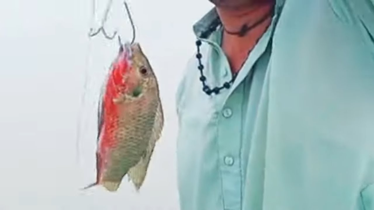 Best unique hook fishing techniques in river @fisheryworld #fish # ...
