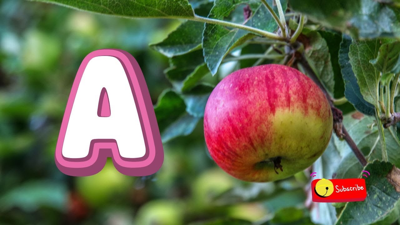 ABC Song | Alphabet Mat | Learn ABC Alphabet for Children | Kids Songs ...