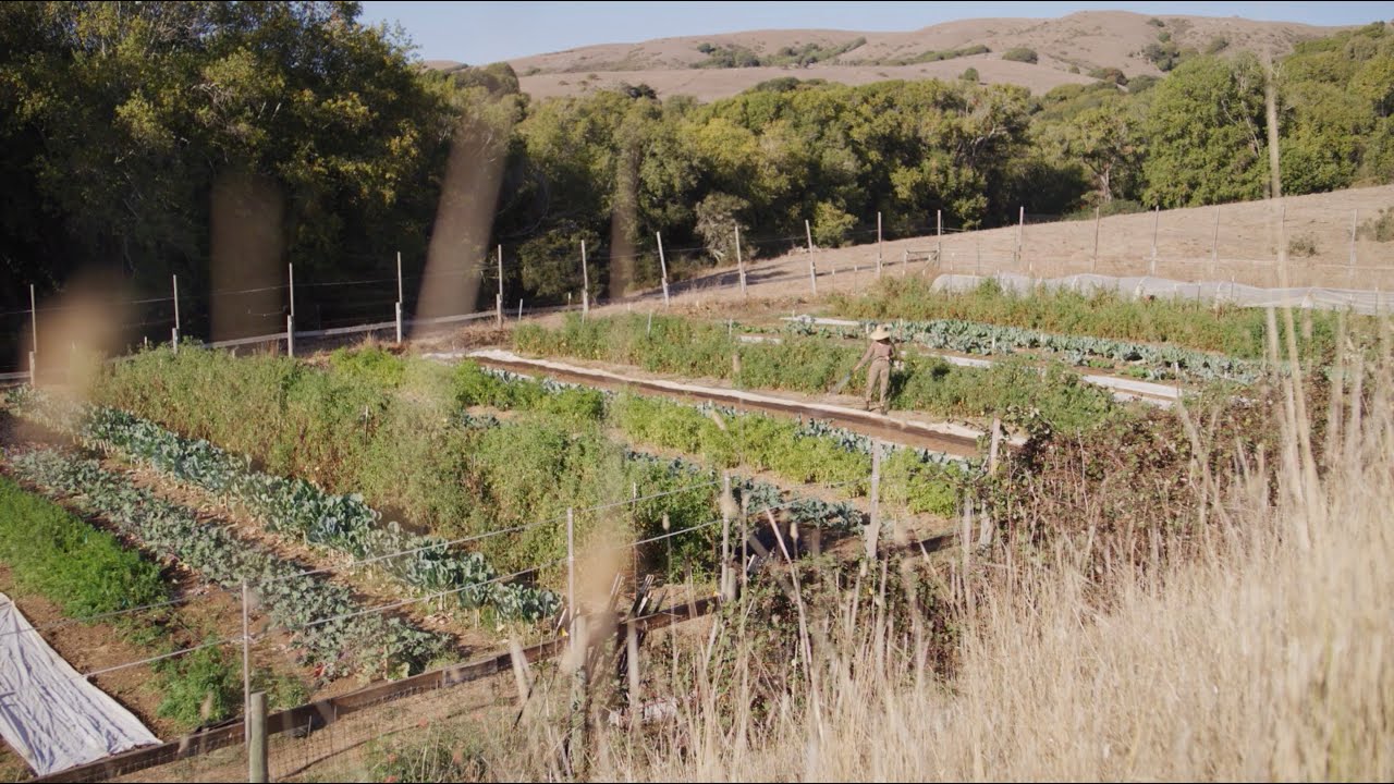 Protecting Farmland and Supporting Regenerative Agriculture - YouTube