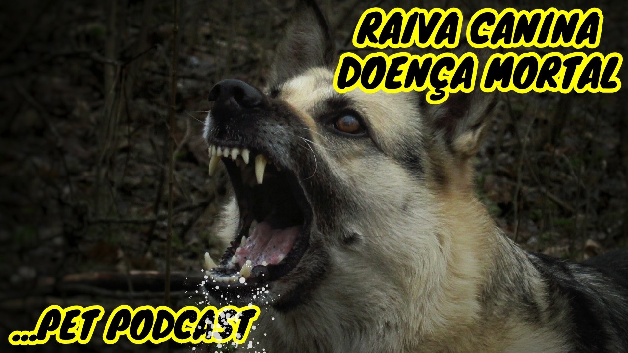 RAIVA CANINA: A DOENÇA MORTAL QUE PODE AFETAR VOCÊ! - YouTube