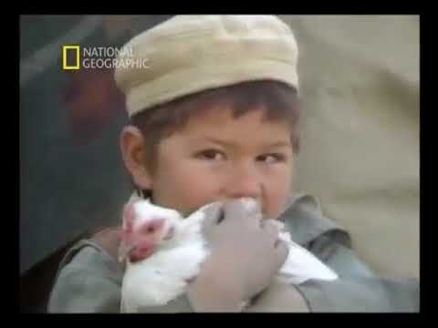 Inside 9/11:11 Eylül - 1.Bölüm - Türkçe Belgesel