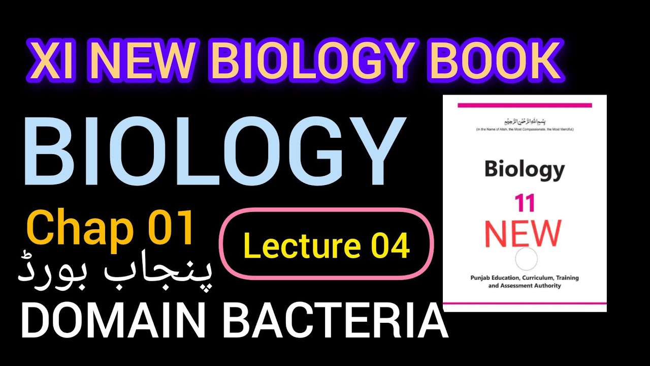 FIRSTYEAR BIOLOGY NEW BOOK CHAPTER 1 LECTURE 4 DOMAIN BACTERIA - YouTube