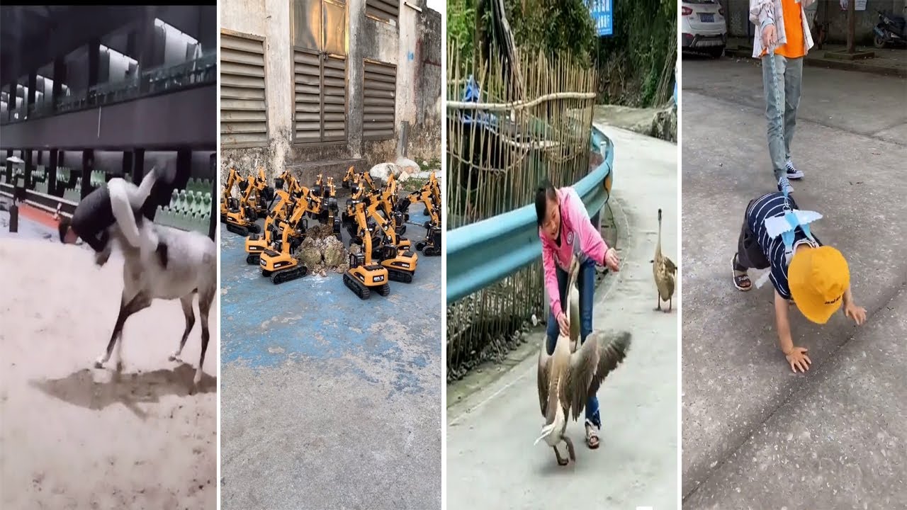 Most amazing fun and interesting videos in the world you need to watch ...