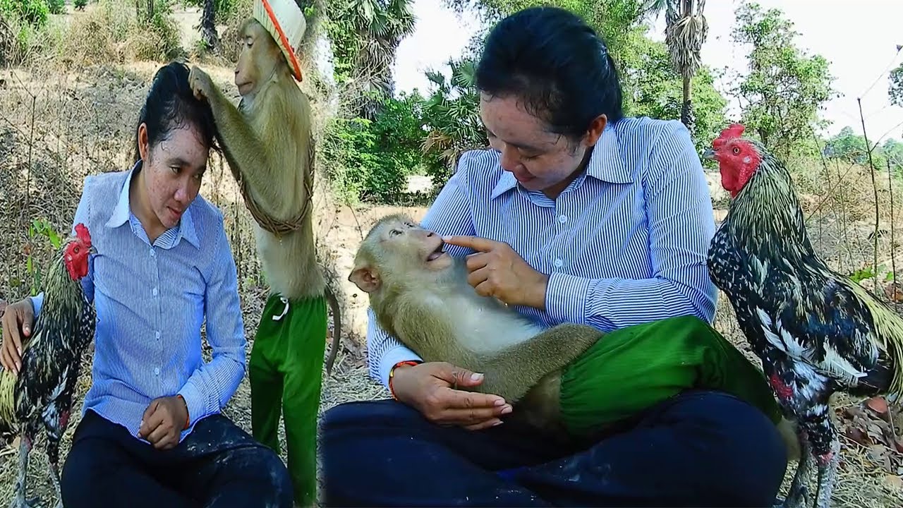 Great Mom Hands Grooming SokYaa Super Warmly - YouTube