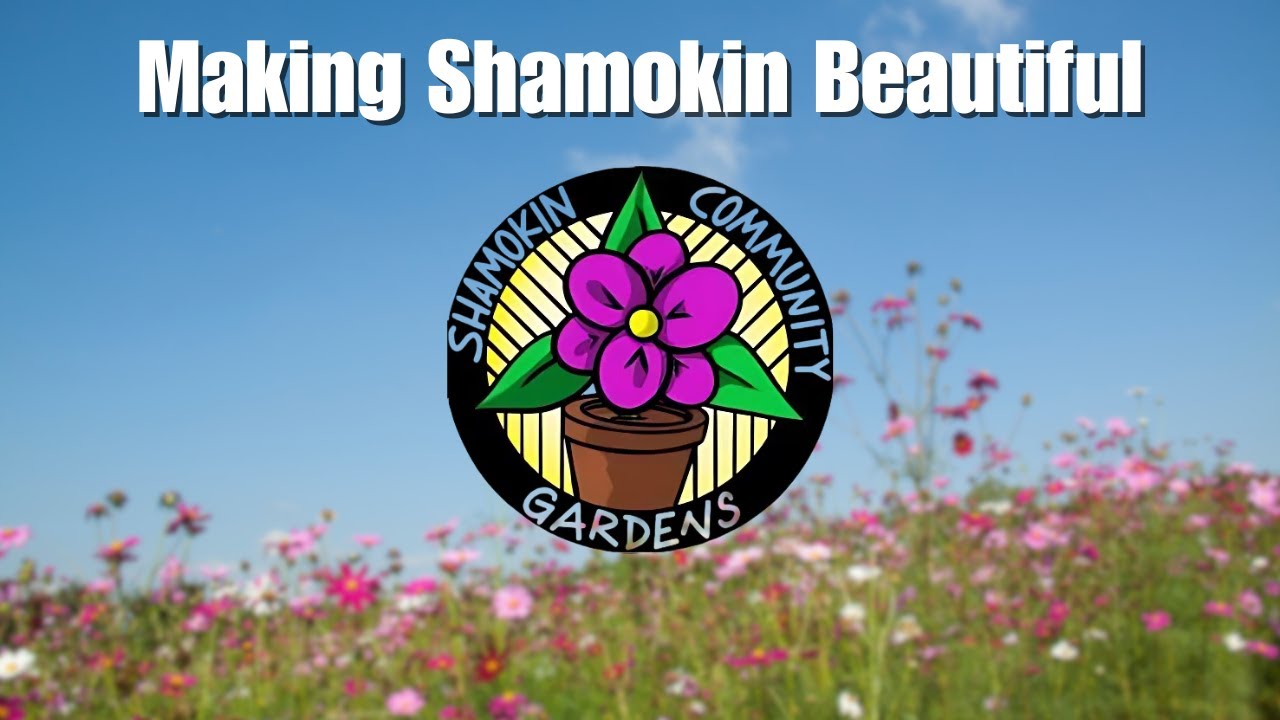 How We Built a Beautiful Community Garden - YouTube