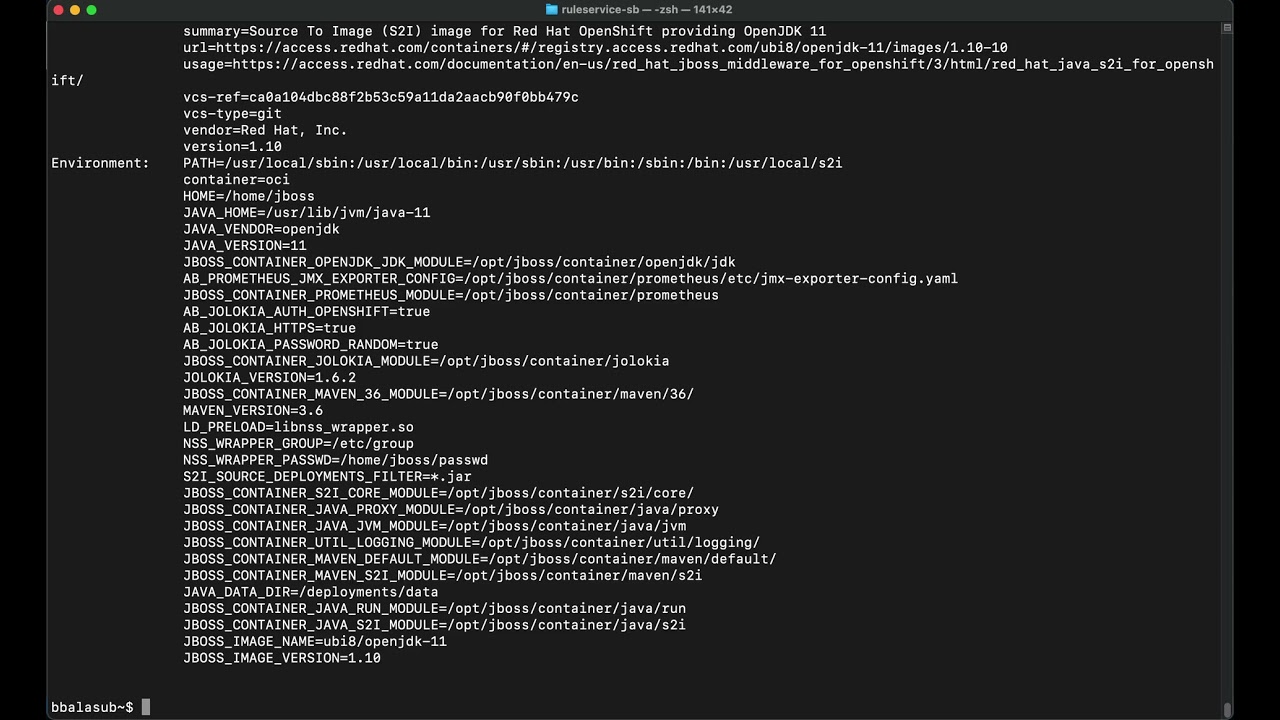 RHPAM/RHDM - Containerise a Red Hat Decision Manager application and ...