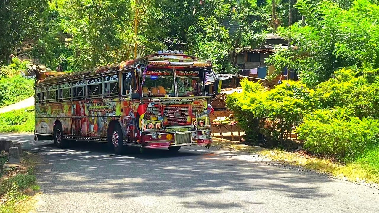 Dumburu Lamissi with Kandy Bird Park @kasiyabro #kasiya_bus_kingdom ...