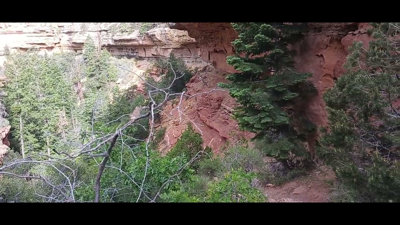 Cliff Spring Trail on the Walhalla Plateau, North Rim Grand Canyon Part ...