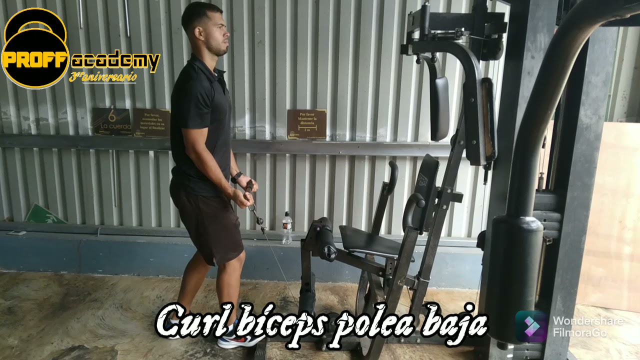 Curl biceps polea baja, ejercicios PROFFacademy - YouTube
