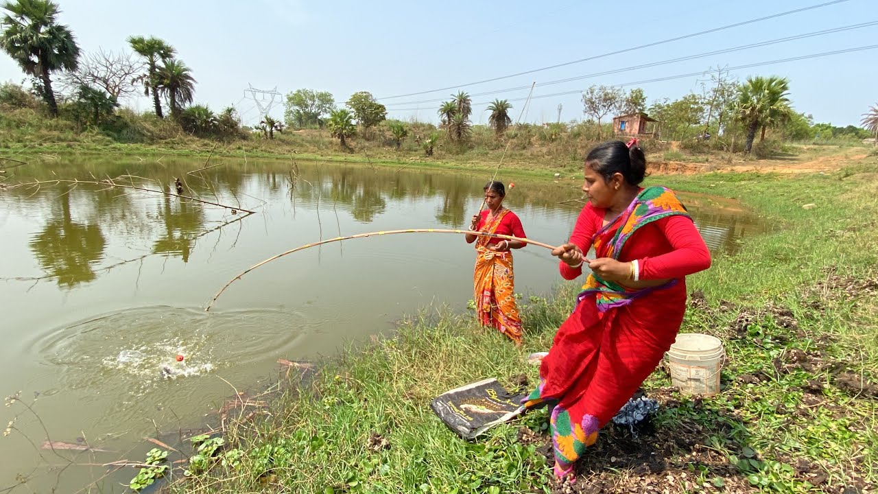 Fishing Video | Two lady fishing in our village pond & catch many rohi ...