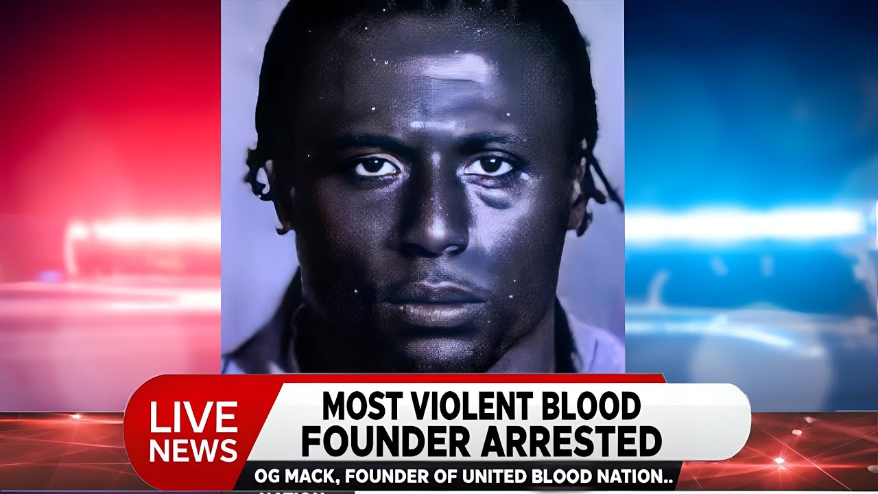 10 Gang Founders That Turned The Streets of America into Hell for It's ...