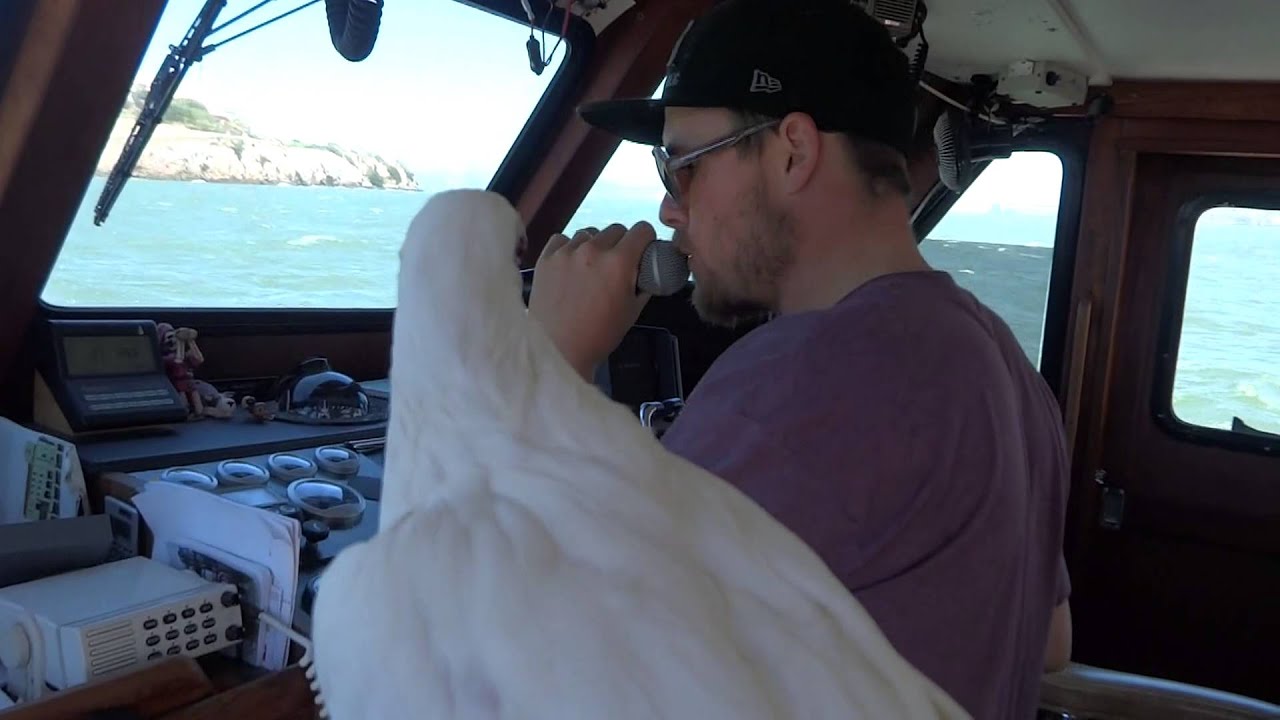 Angel with Skipper Bass Tub Bay Cruise SF to Alcatraz May 20, 2013 ...