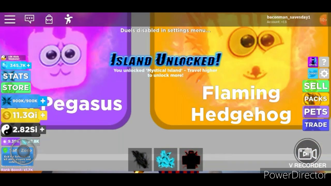 Ranking up and giving begginers some good pets (ninja legends) - YouTube