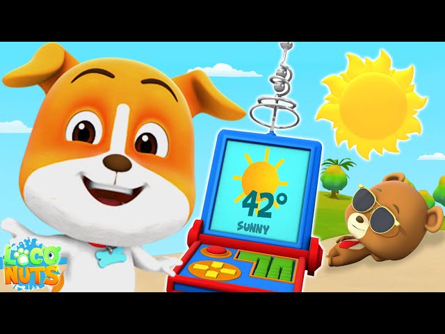 Eternal Summer & More Funny Loco Nuts Cartoon Videos for Children ...