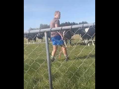 Guy Trips and Falls Headfirst While Jumping Over Fence - 1137997 - YouTube