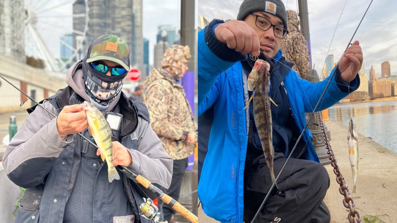 Winter perch fishing at Navy Pier on Thanksgiving! - YouTube
