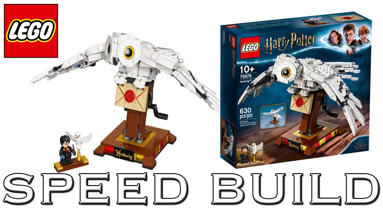 LEGO 75979 HARRY POTTER - EDVIGE HEDWIG- SPEEDBUILD - YouTube