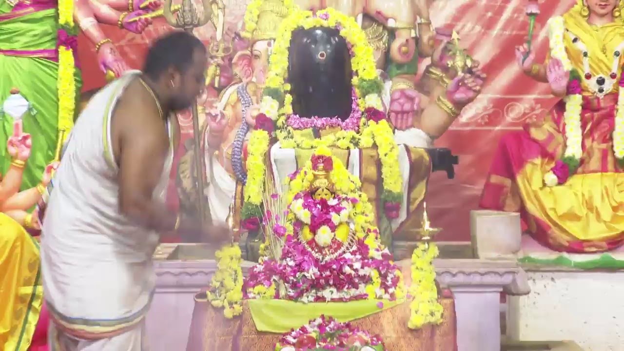Day- 2 - 3-Priest Chanda Munda Samharini Homa at AstroVed Remedy Center ...