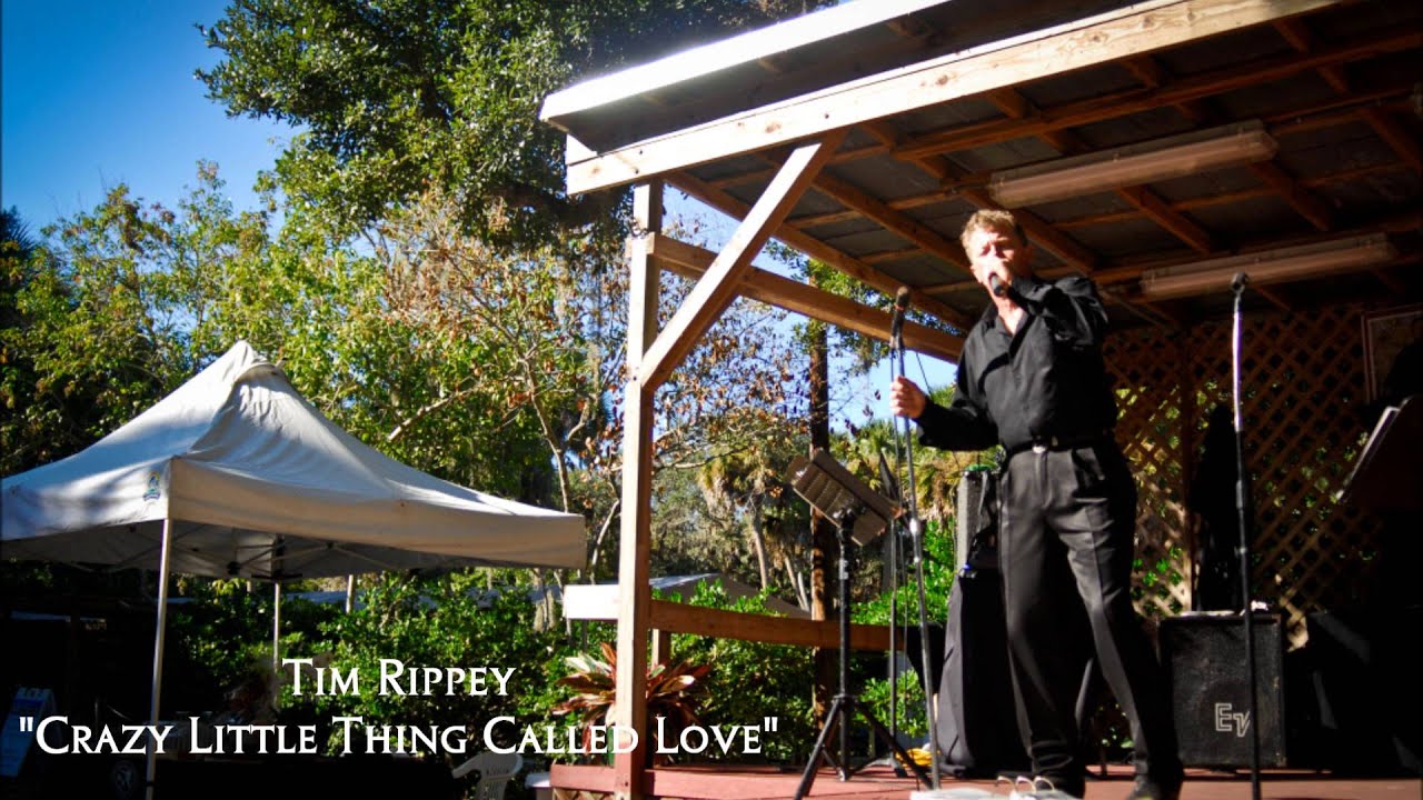 Crazy Little Thing Called Loved | Tim Rippey | 2015 - YouTube