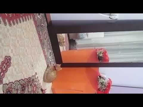 Kedinin ayna ile imtihanı (komik kedi )