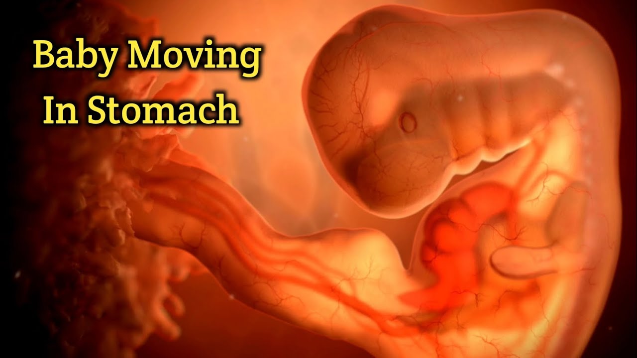 Baby moving inside stomach | fetus in the womb - YouTube