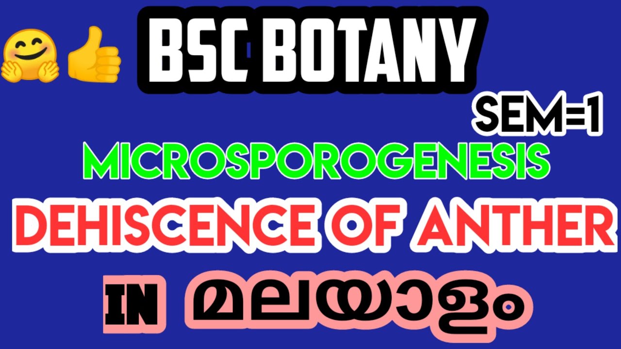 BSC BOTANY |MICROSPOROGENESIS|DEHISCENCE OF ANTHER|മലയാളം - YouTube