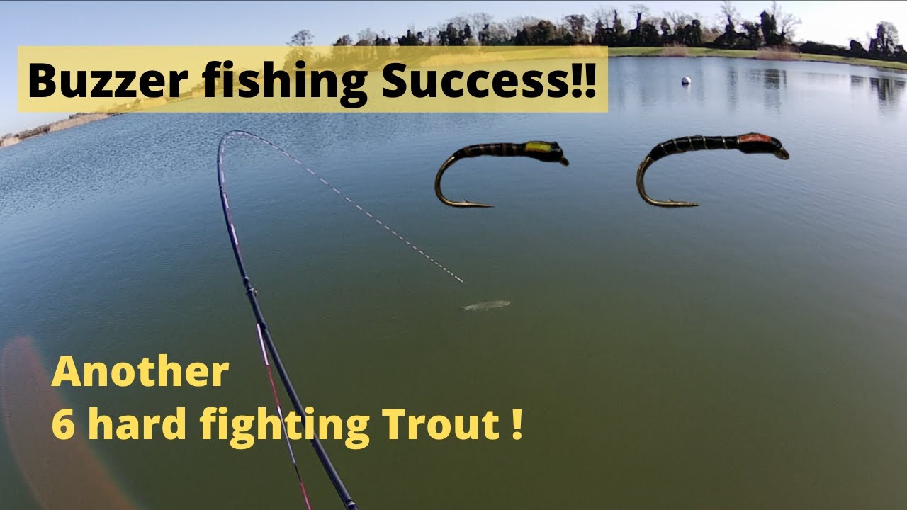 Fly Fishing UK BUZZER fishing - SIX fine Trout - YouTube