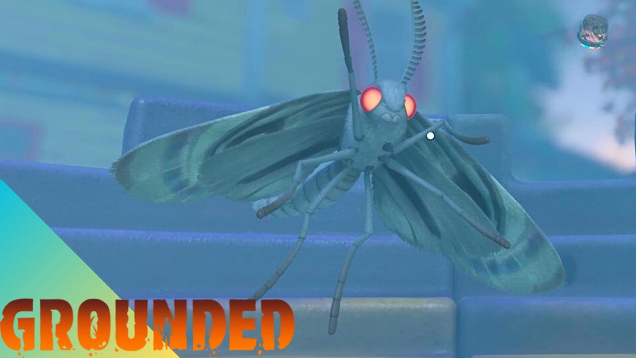 The Great Moth Battle! - Grounded [E20] - YouTube