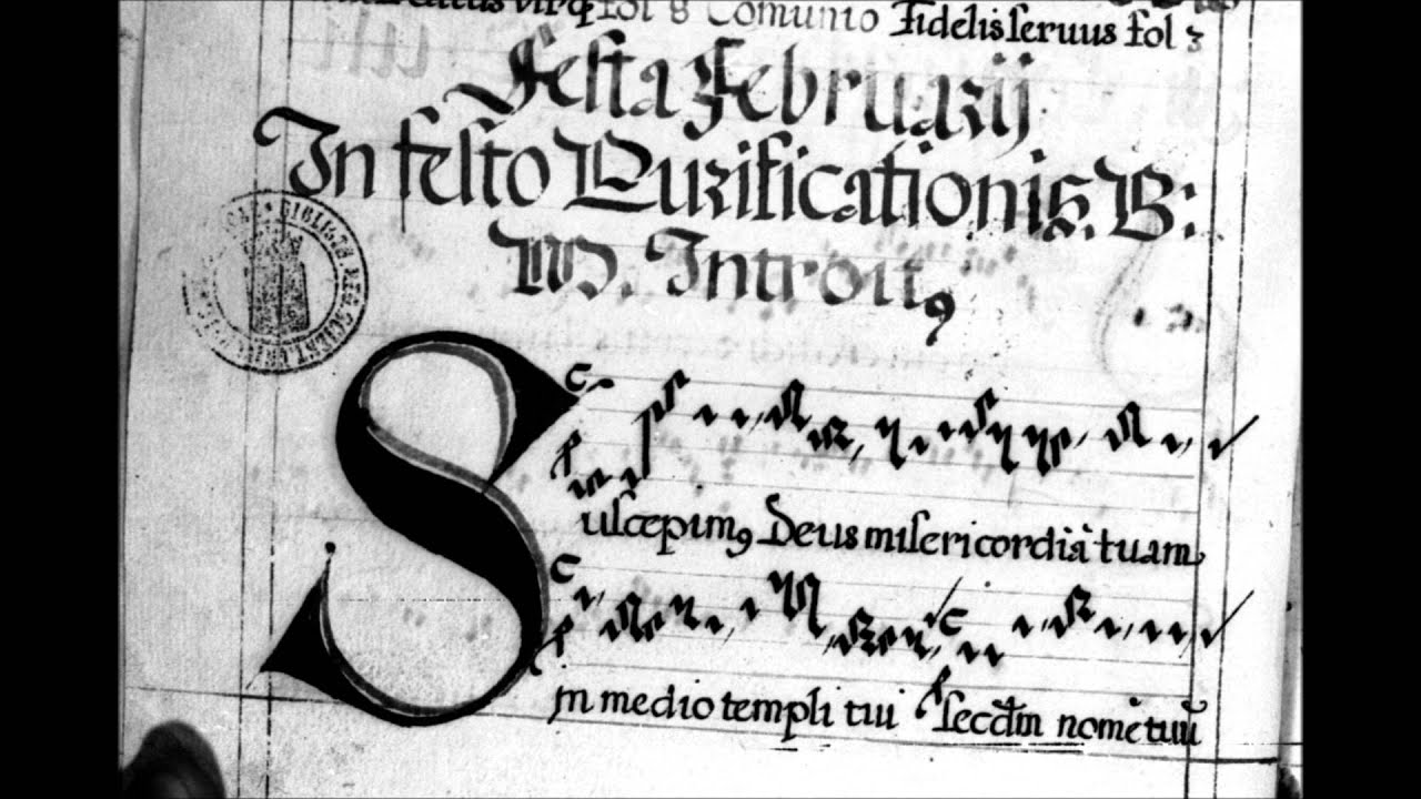 Schola Hungarica Diffusa.wmv - YouTube