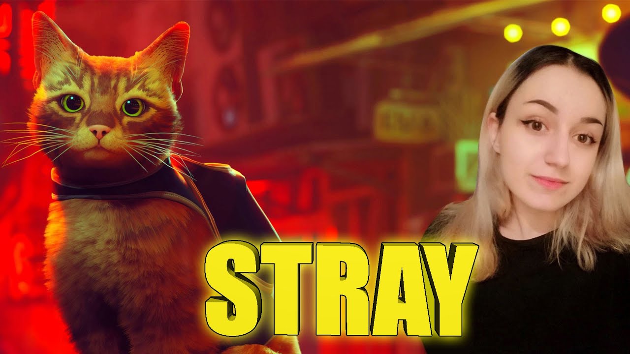 STRAY • ПОЛНОЕ ПРОХОЖДЕНИЕ - YouTube