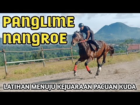 KUDA PANGLIME NANGROE ANAK LONG WAR KING HALIM STABLE LATIHAN MENJELANG ...