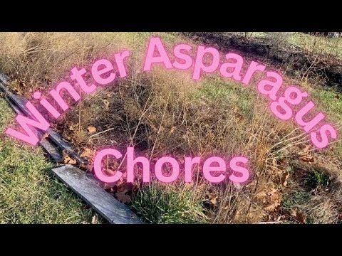 What Is Composting The Great Plant Escape