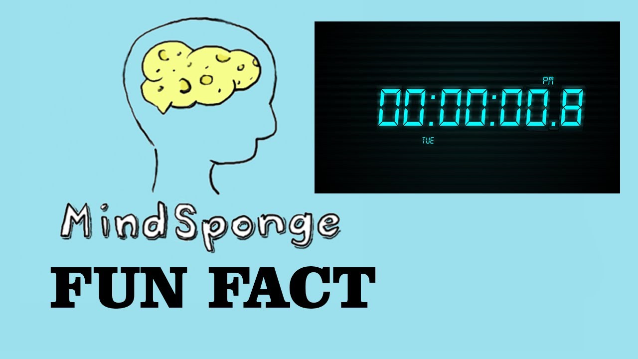 MindSponge Fun Fact: 80 Milliseconds - YouTube