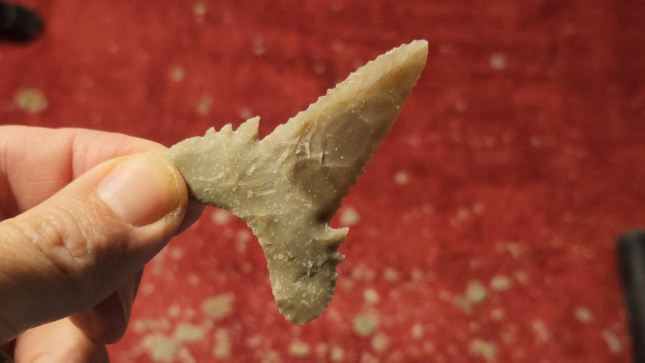 1364 - Flintknapping Sharks Tooth Effigy Arrowhead - YouTube