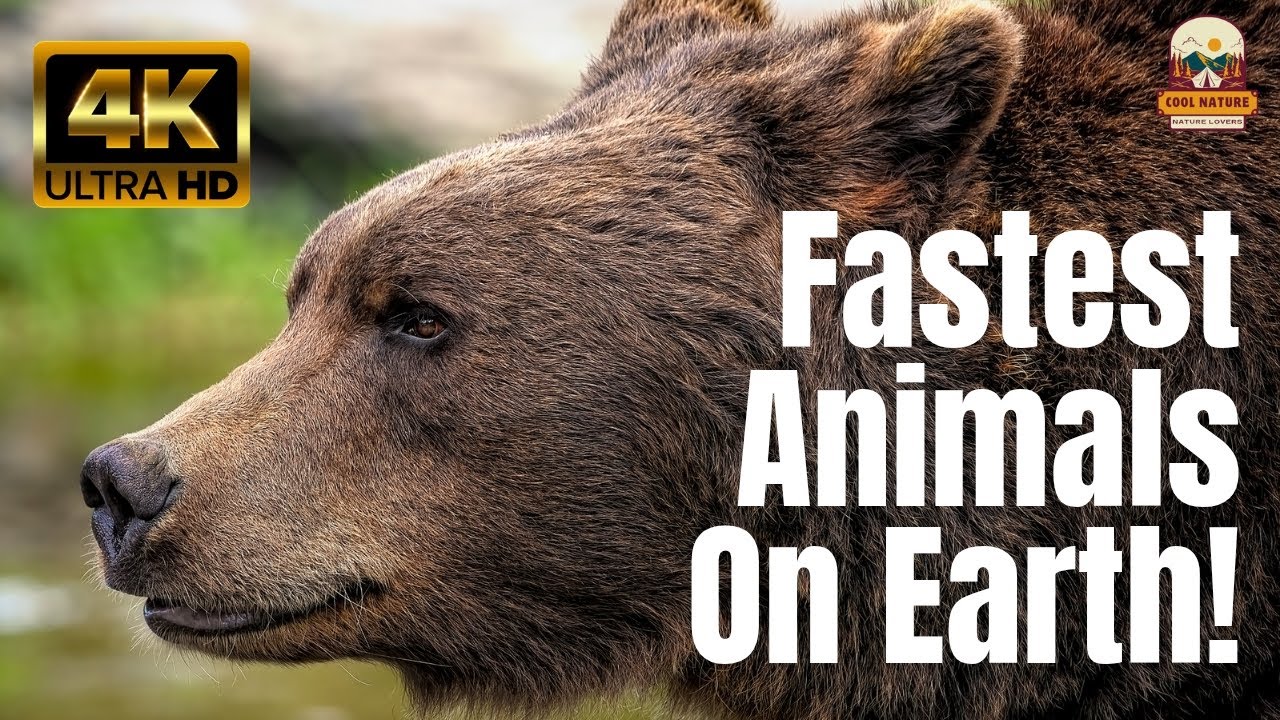Inside the Wild: Secrets Animals Never Show - YouTube
